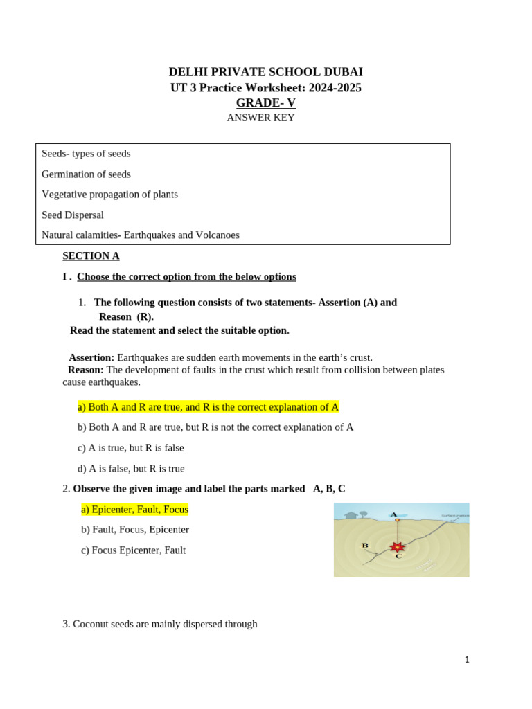 Grade 5 Revision Sheet Ut3 Ans Key | PDF | Volcano | Seed