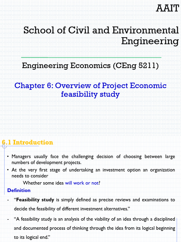Overview of Feasibility | PDF | Feasibility Study | Net Present Value