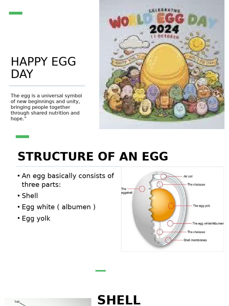 Egg Structure and Composition Guide | PDF