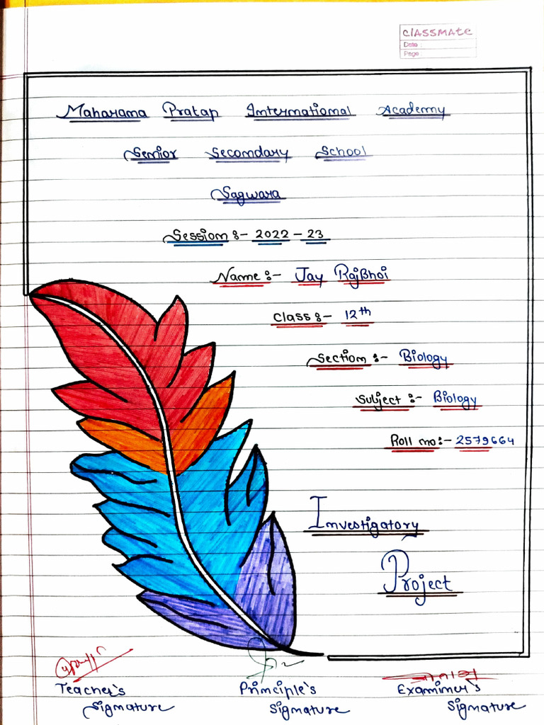 Cancer Research Project Overview | PDF | Prostate | Cancer