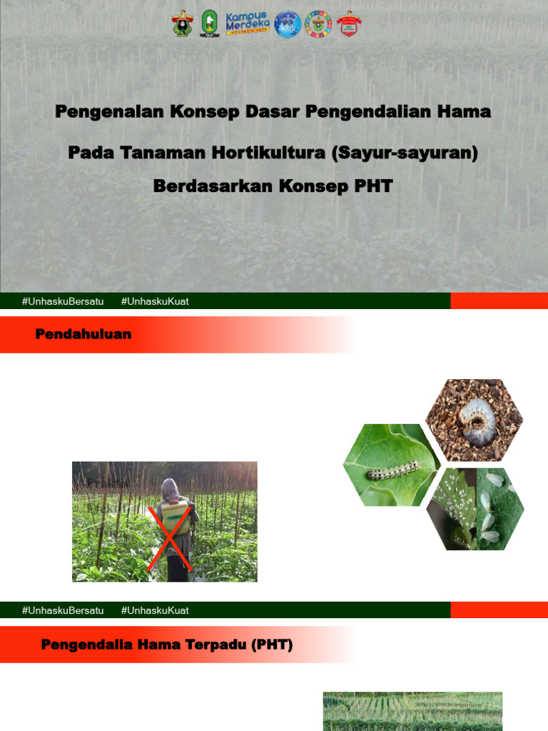 Pengendalian Hama Konsep PHT | PDF