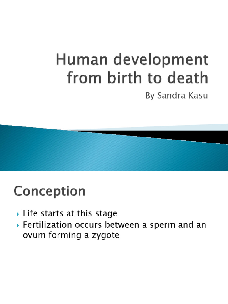 Stages of Human Development Explained | PDF | Adolescence | Behavioural ...