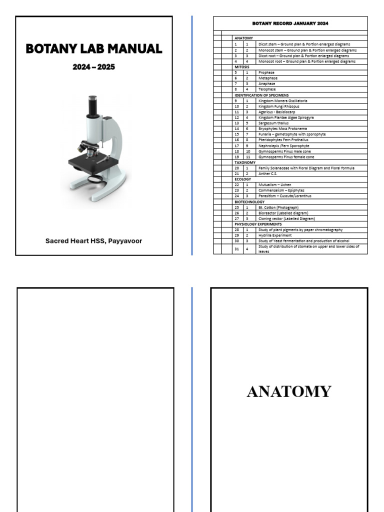 Botany Lab SHHSS | PDF | Plant Stem | Mitosis