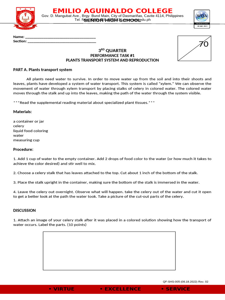 PT1 - Plants Transport System and Reproduction | PDF | Plant Stem ...