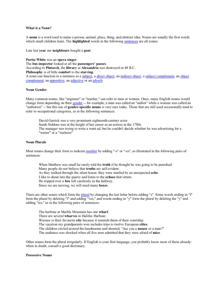 What Is A Noun | PDF | Grammatical Number | Noun