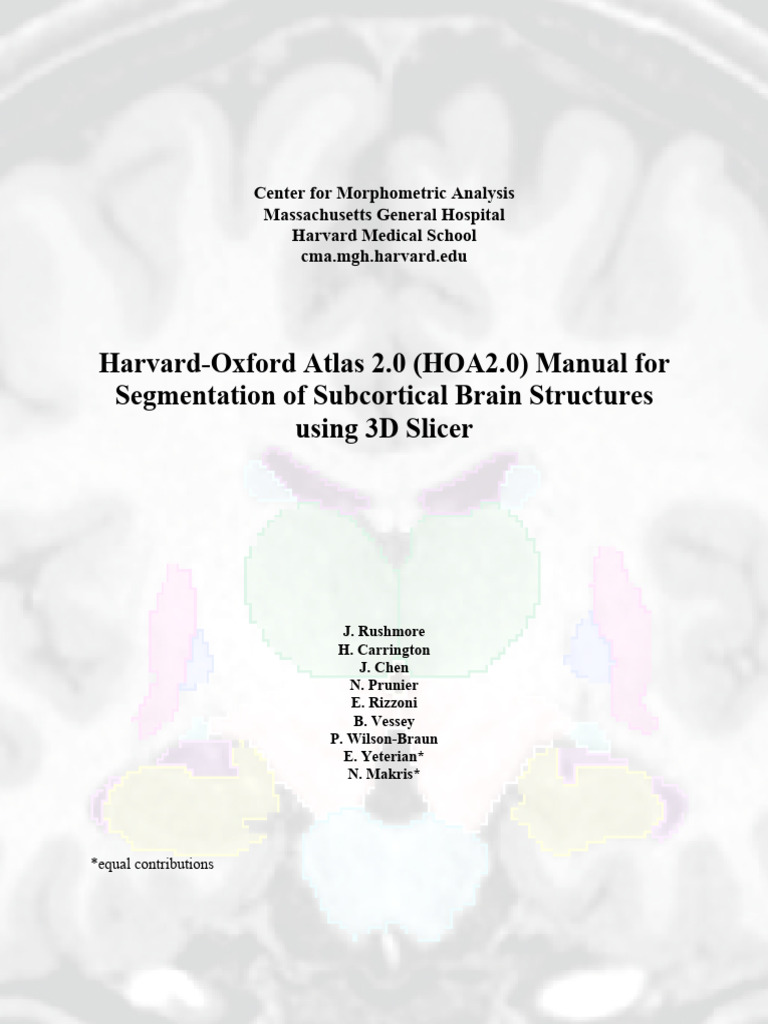 HOA Subcortical Brain Structure Segmentation Manual | PDF | Brain ... HOA Subcortical Brain Structure Segmentation Manual | PDF | Brain ...