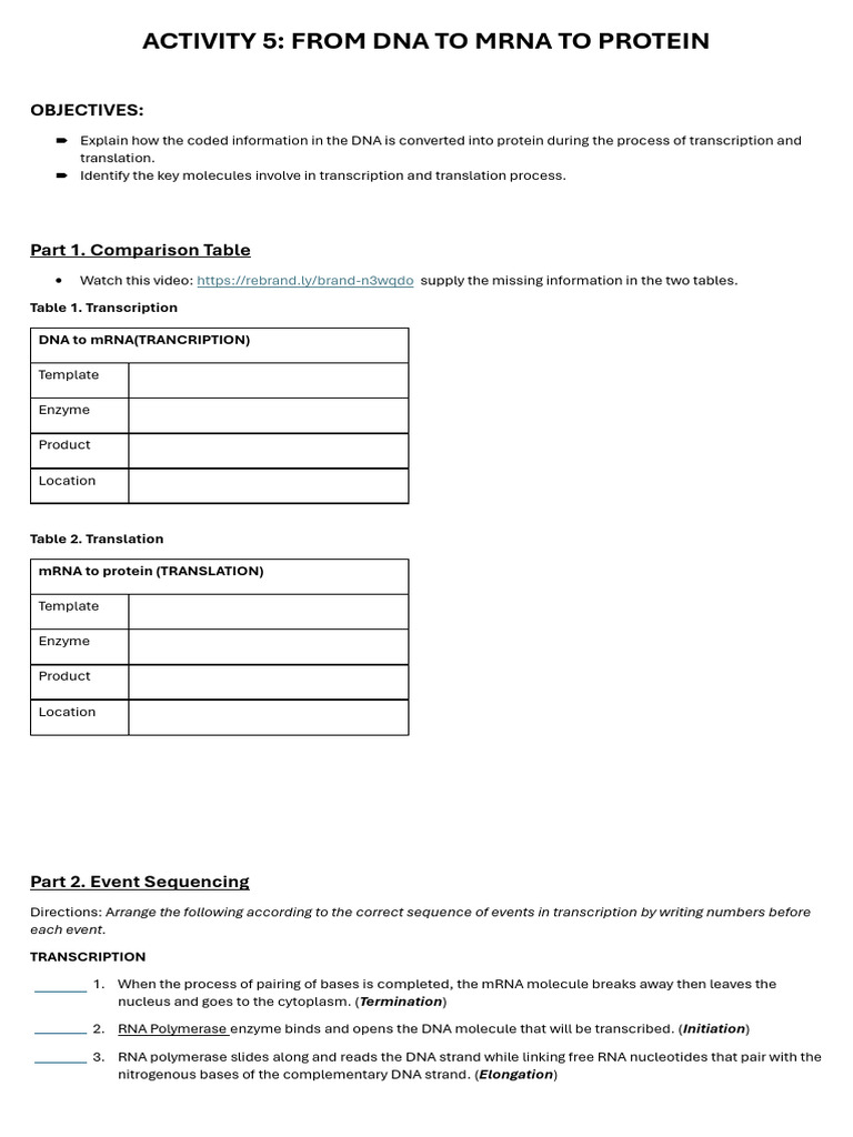 Activity 5 From DNA To Protein Handout | PDF