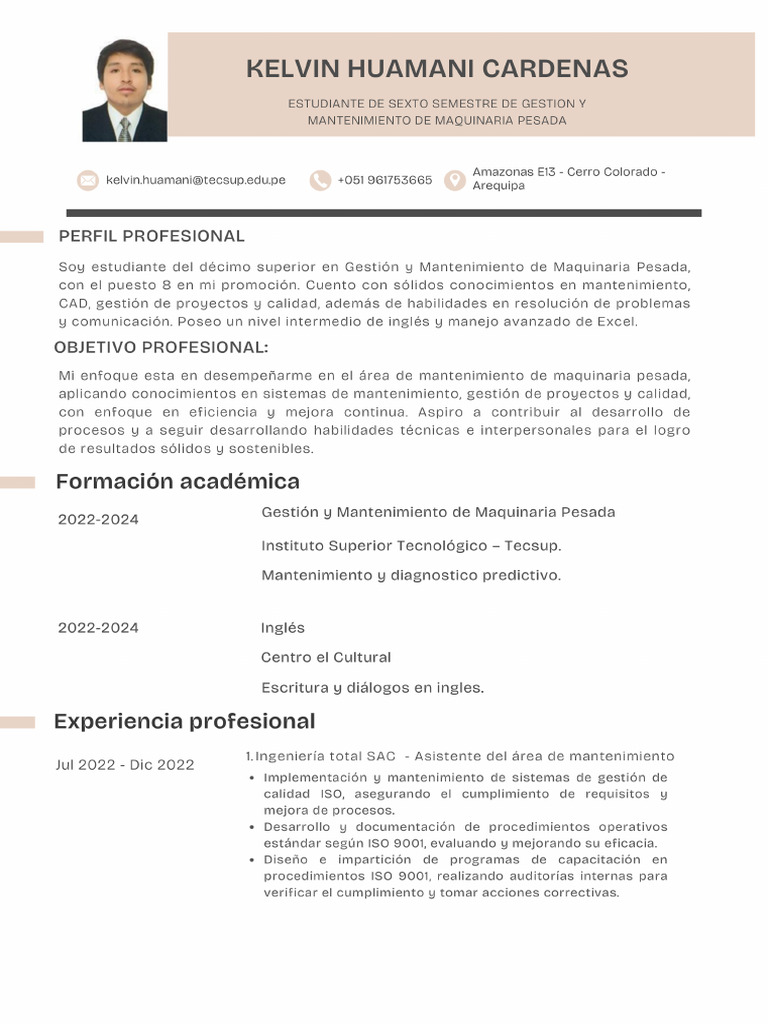 Curriculum Asistente Virtual Minimalista Crema | PDF