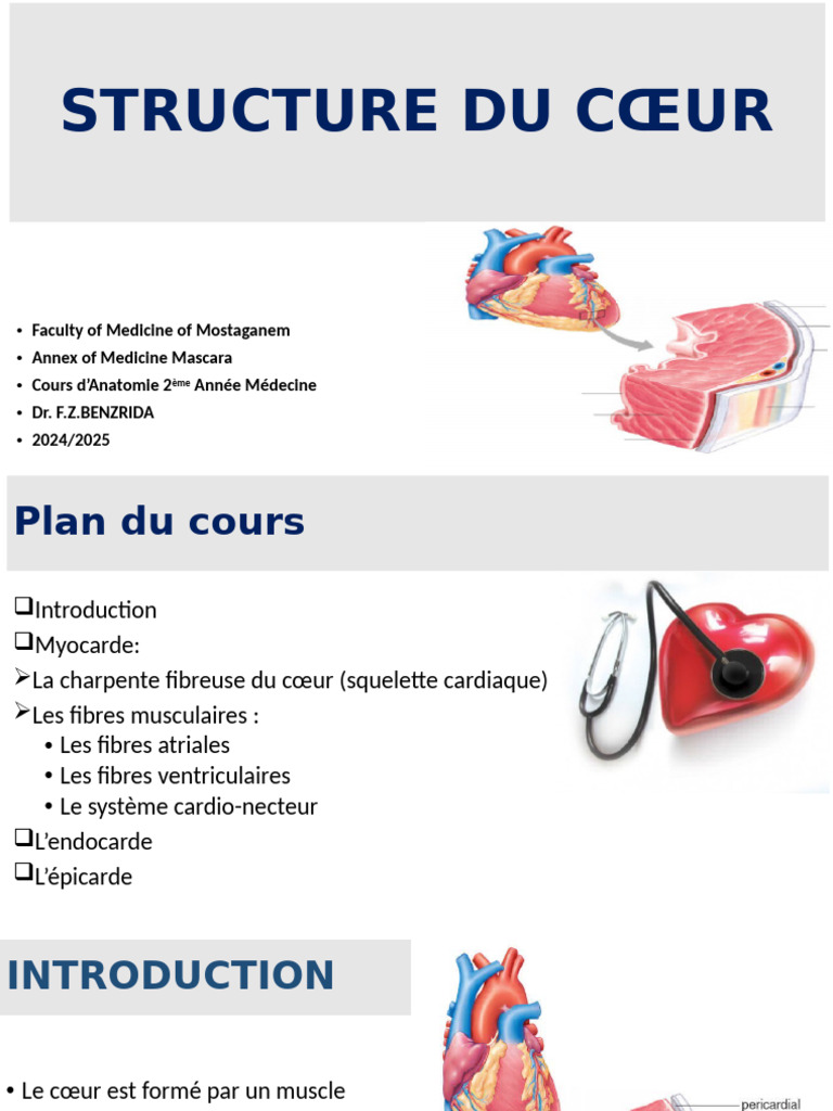 Innervation et structure du cœur | PDF | Spécialités médicales | Cœur