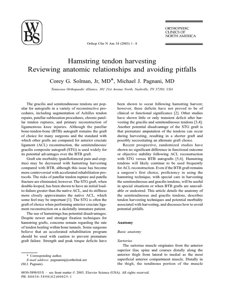 Hamstring Tendon Harvesting | PDF | Anatomical Terms Of Location ...