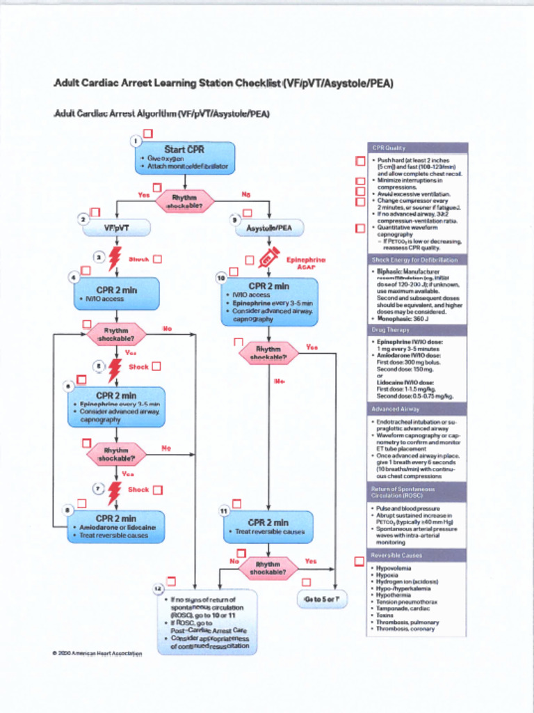 ACLS ALGORITHMS | PDF