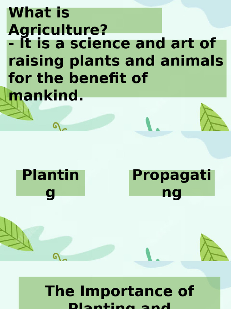 EPP 6 Q1 WEEK 1 | PDF | Trees | Plants