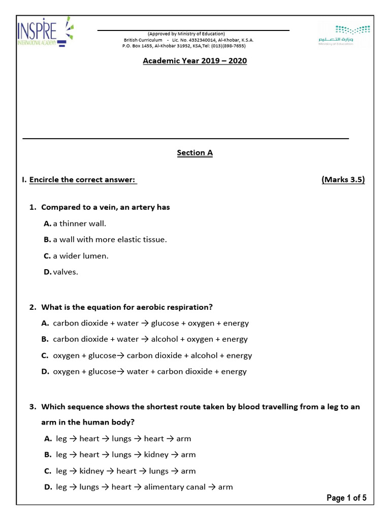 Grade 9 Biology Quiz on Circulatory System | PDF | Heart | Circulatory ...