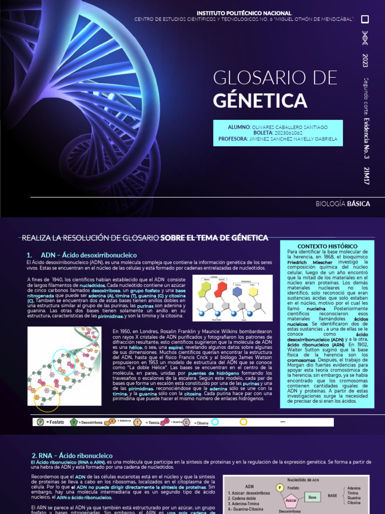 Segundo Corte. Evidencia No. 3 | PDF | Rna | Adn