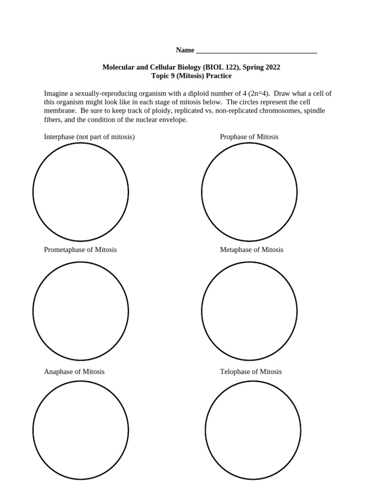 Mitosis Practice | PDF