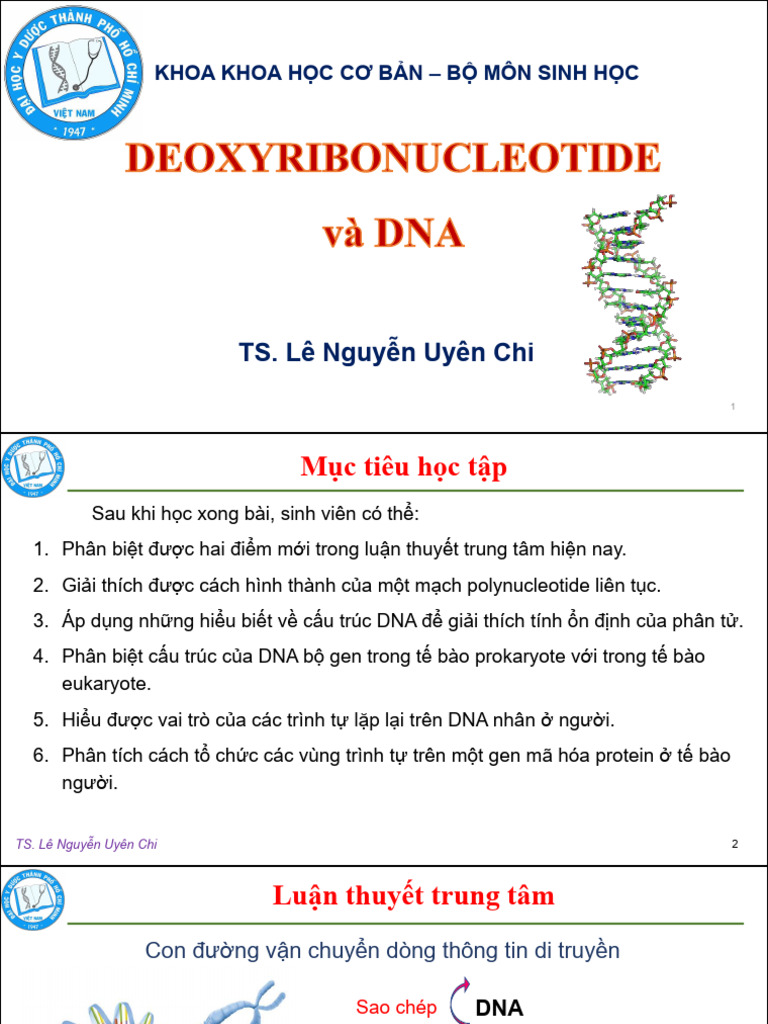 Bai 1- Deoxyribonucleotide va DNA-2023_Uyên Chi | PDF