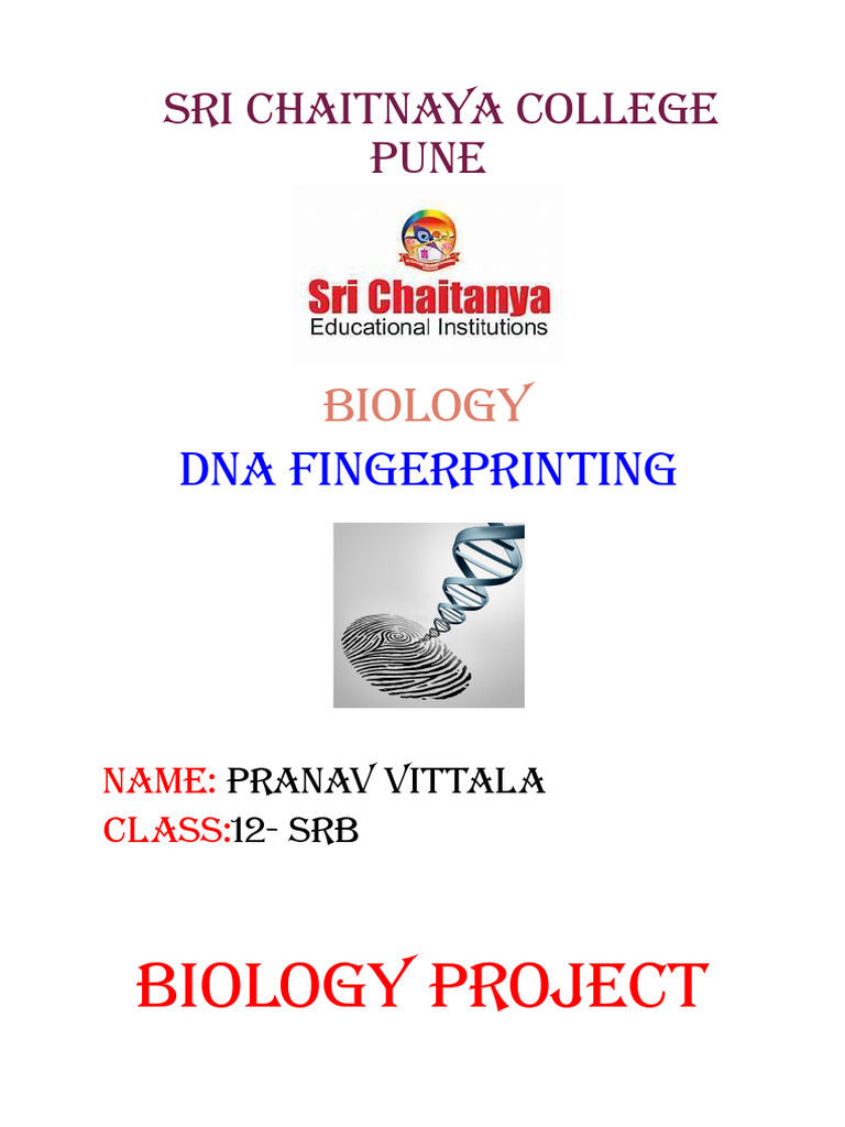 604854192-Dna-Fingerprinting-Bio-Project | PDF | Dna Profiling ...