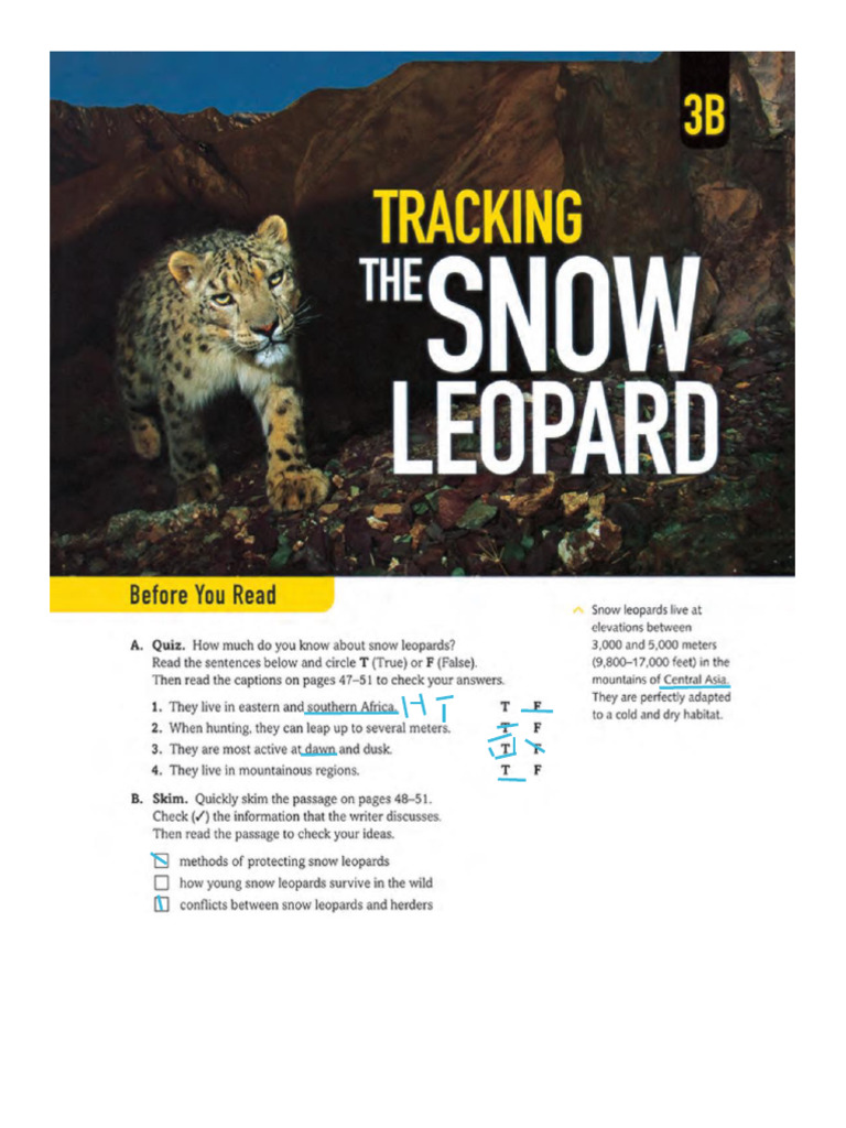 Snow Leopard | PDF
