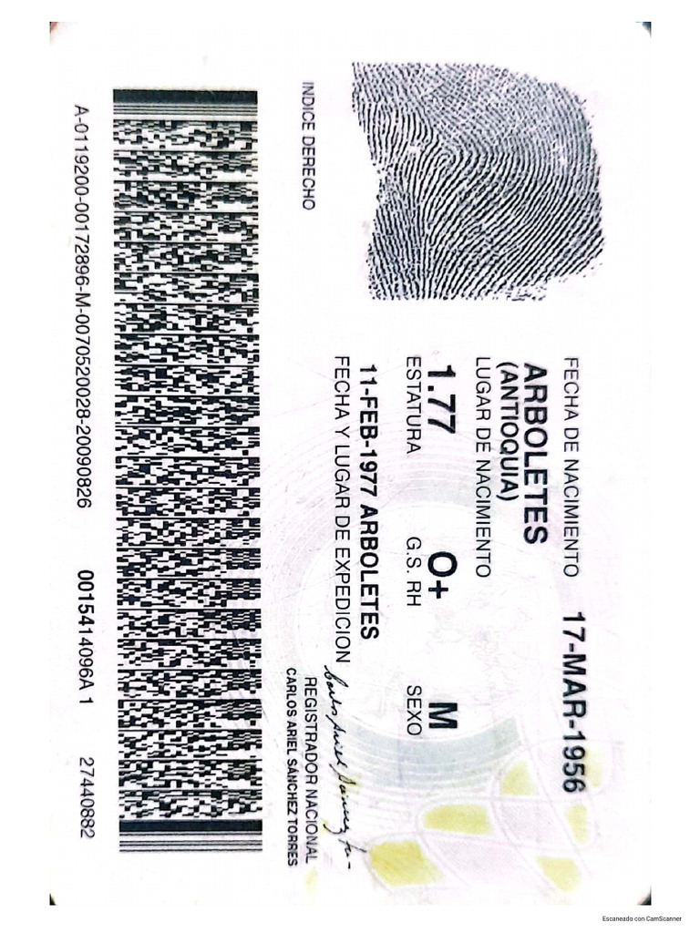 Cédula Mi Papá | PDF