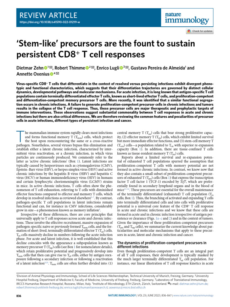 Stem-Like' Precursors Are The Fount To Sustain Persistent CD8 T Cell ...