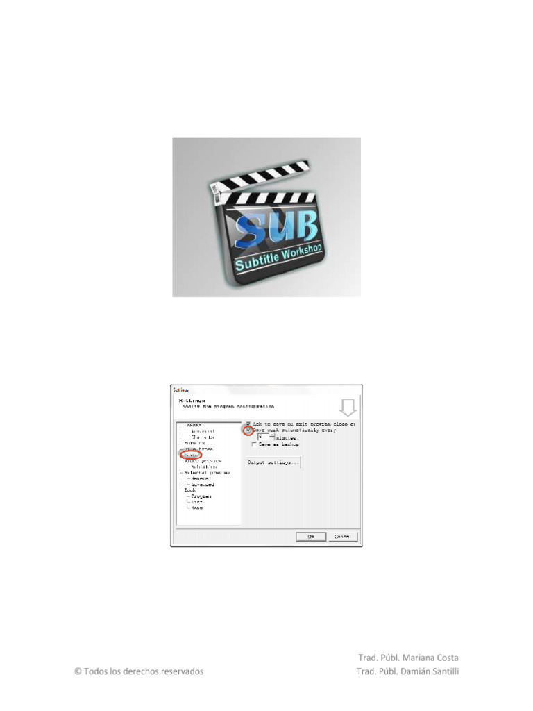 Guía Básica de Subtitle Workshop | PDF | Microsoft Word | Ventana ...