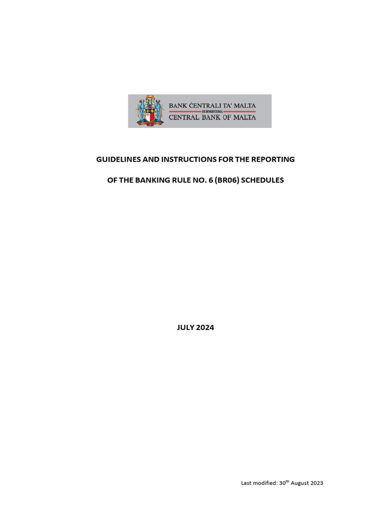 BR06 Reporting Guidelines for Banks | PDF | Securities (Finance ...
