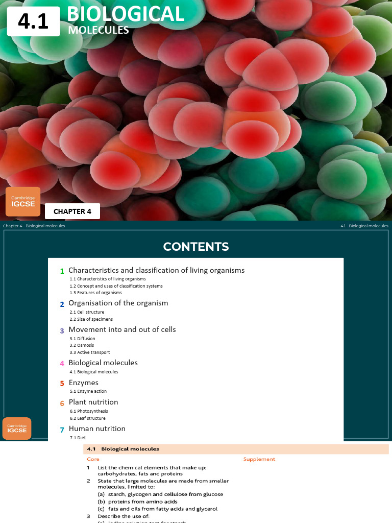 Chapter 4 Biological Molecules (1) | PDF | Carbohydrates | Lipid