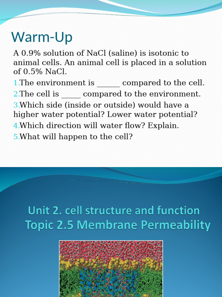 Topic 2.5 Membrane Permeability | PDF