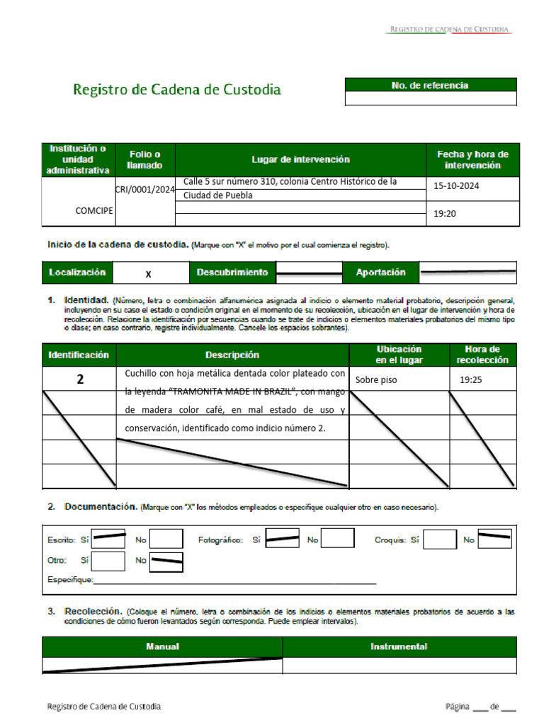 Cadenas de Custodia | PDF