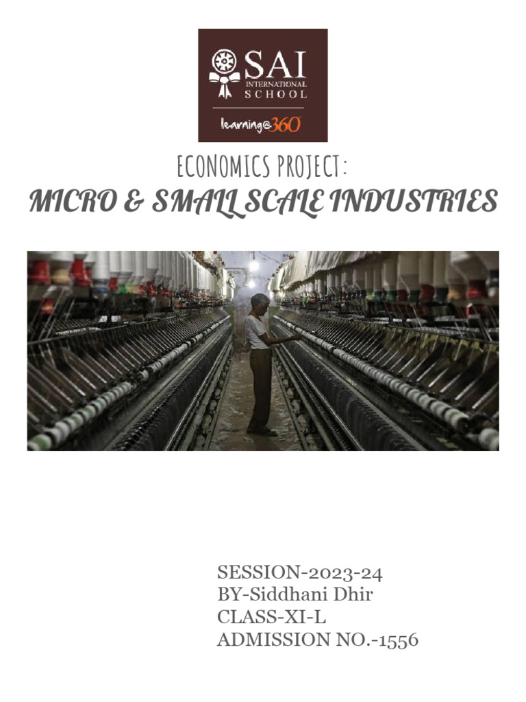 Economics Project:: Micro & Small Scale Industries | PDF