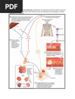 Codes For Cambridge Igcse Biology Syllabus | PDF | Science ...