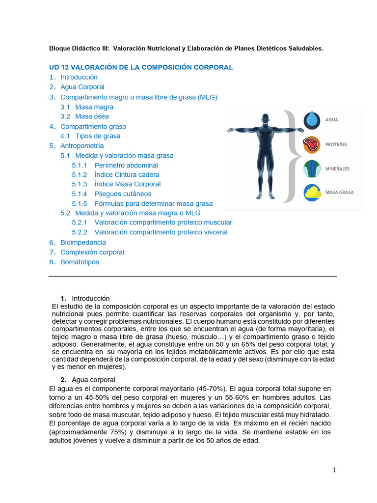 Ud 11 Valoraciã N Composiciã N Corporal | PDF | Tejido adiposo | Obesidad abdominal
