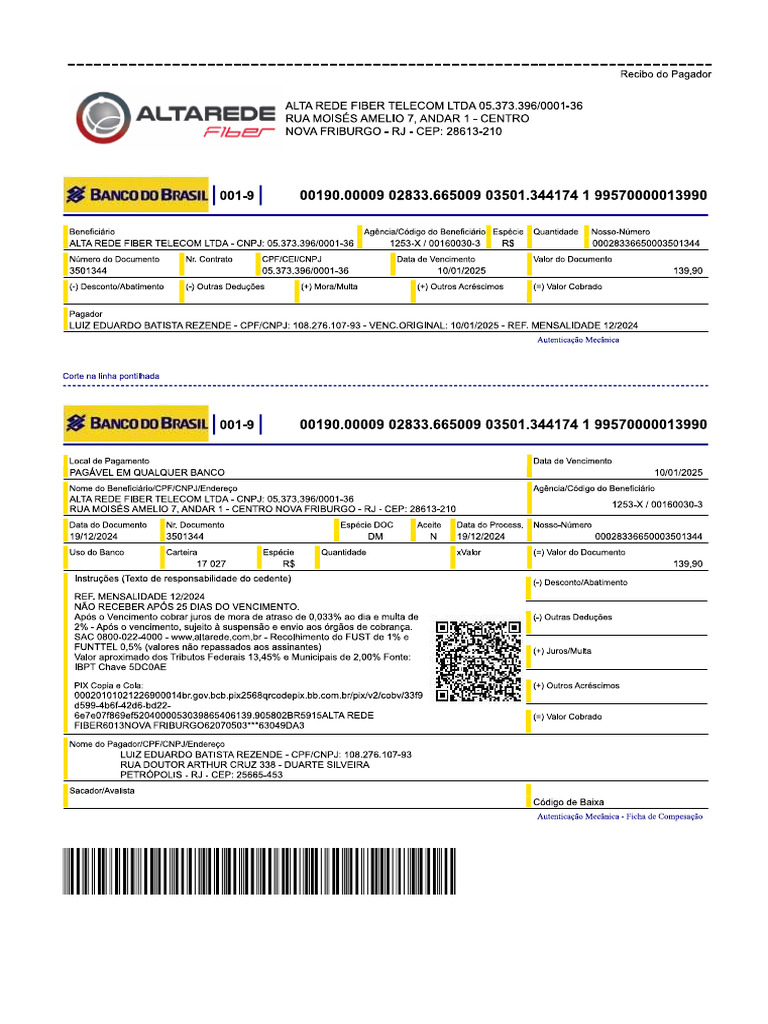 Fatura Alta rede Fiber | PDF