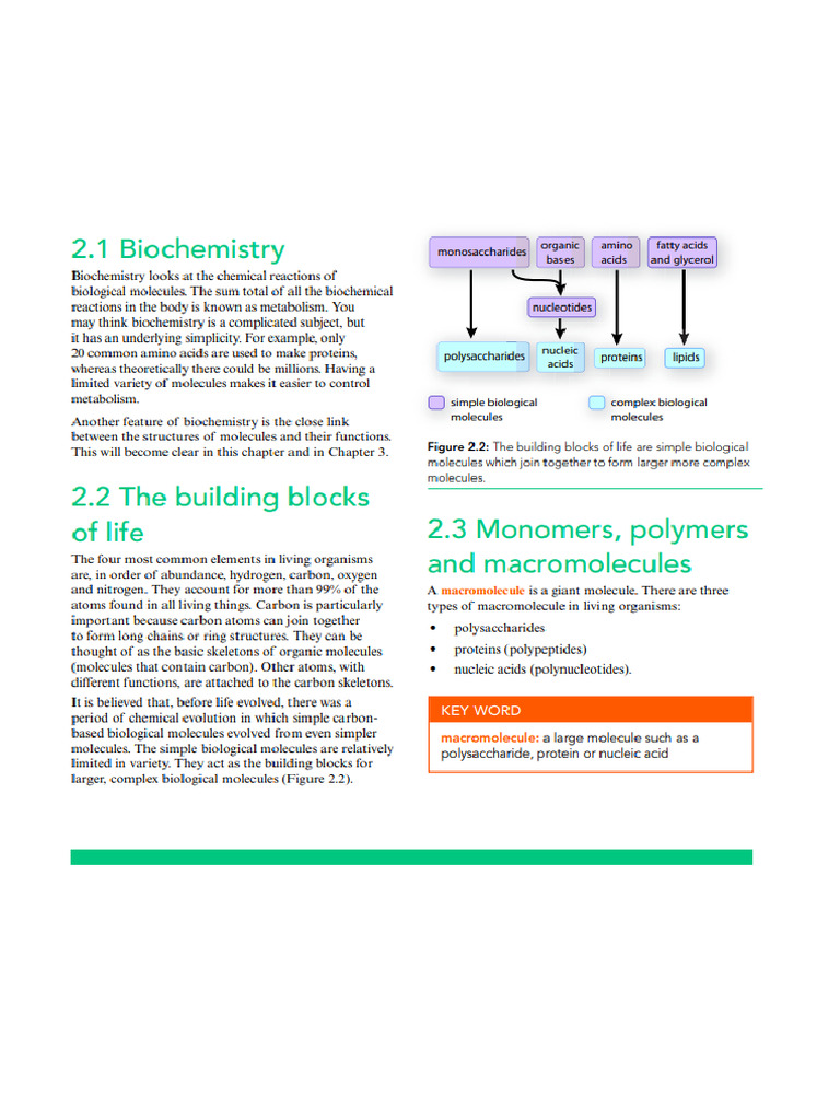 Chapter 2. Biological molecules | PDF