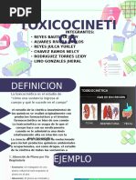 Toxicocinética y Toxicodinamia | PDF | Toxicidad | Excreción