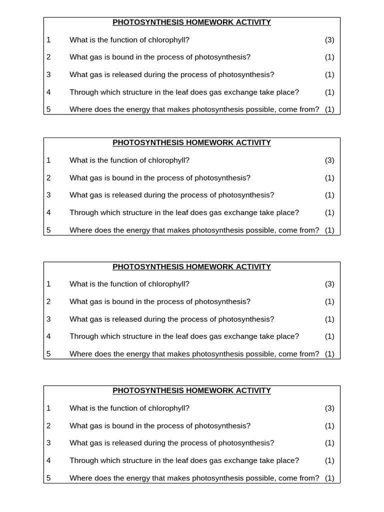 Photosynthesis & Respiration Study Guide | PDF | Photosynthesis ...