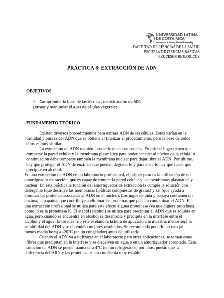 Extracciã N de Adn | PDF | Adn | Cromosoma