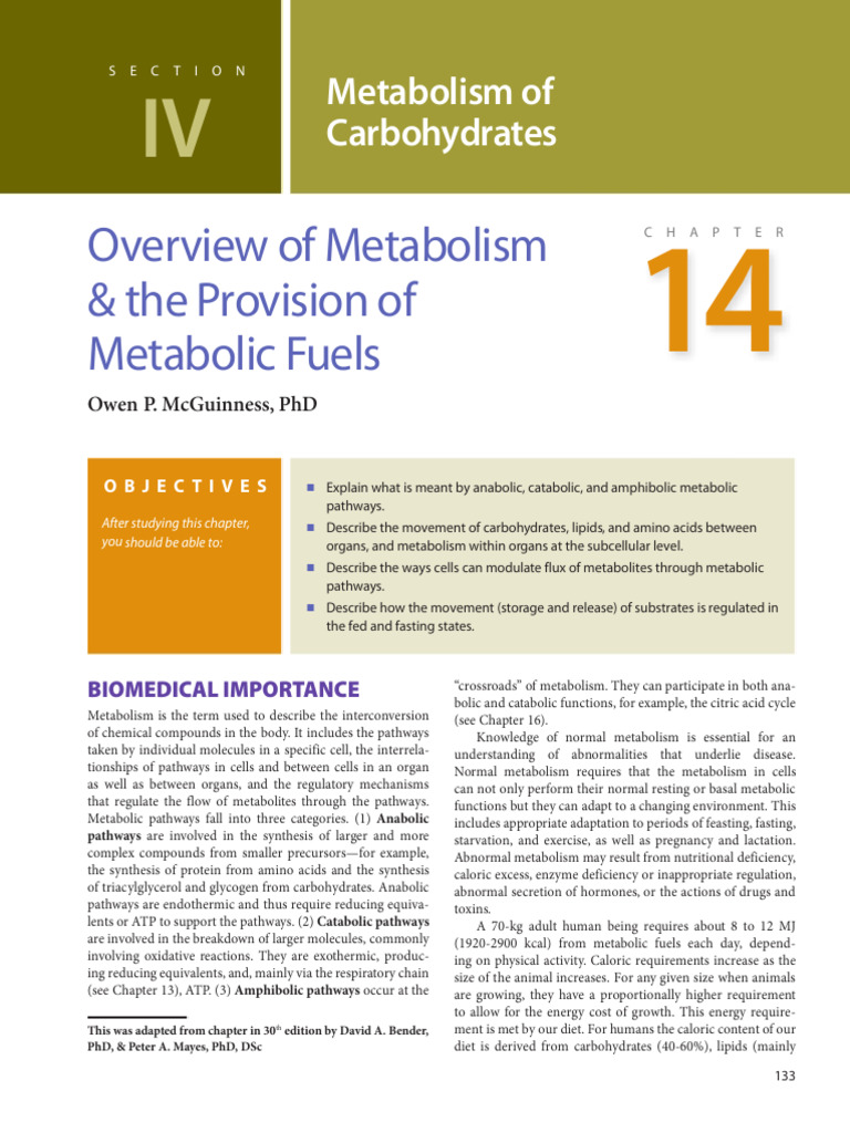 Carbohydrate and Lipid | PDF | Metabolism | Glycolysis