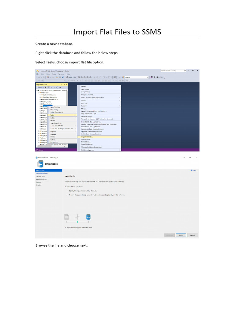 Import Flat Files To SSMS | PDF