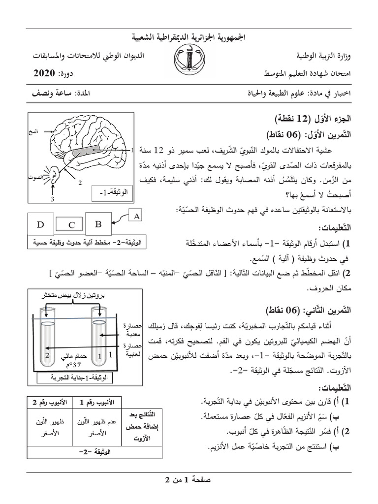 Bem Science 2020 | PDF