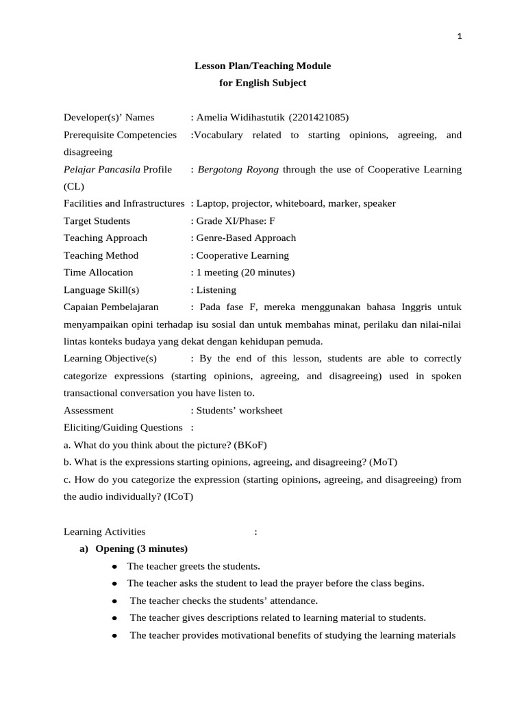 Mini lesson plan | PDF | Lesson Plan | Cognitive Science