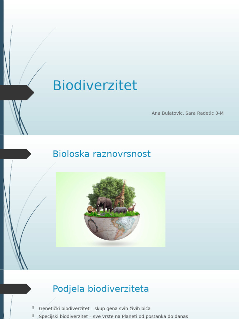 Bio Diver Zit Et | PDF