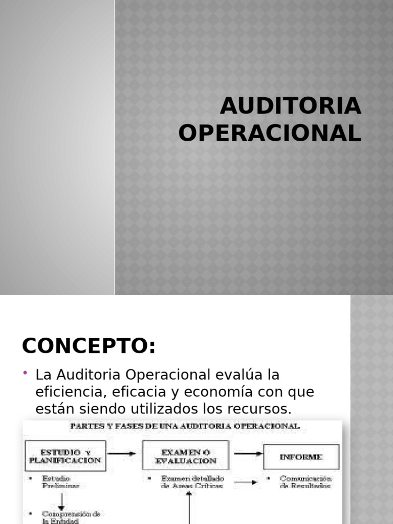 Auditoría Operacional: Eficiencia y Control | PDF | Contabilidad ...