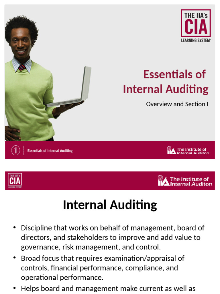 CIA Certification: Internal Auditing Essentials | PDF | Internal Audit ...