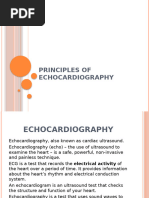 TTE TEE Report Template | PDF