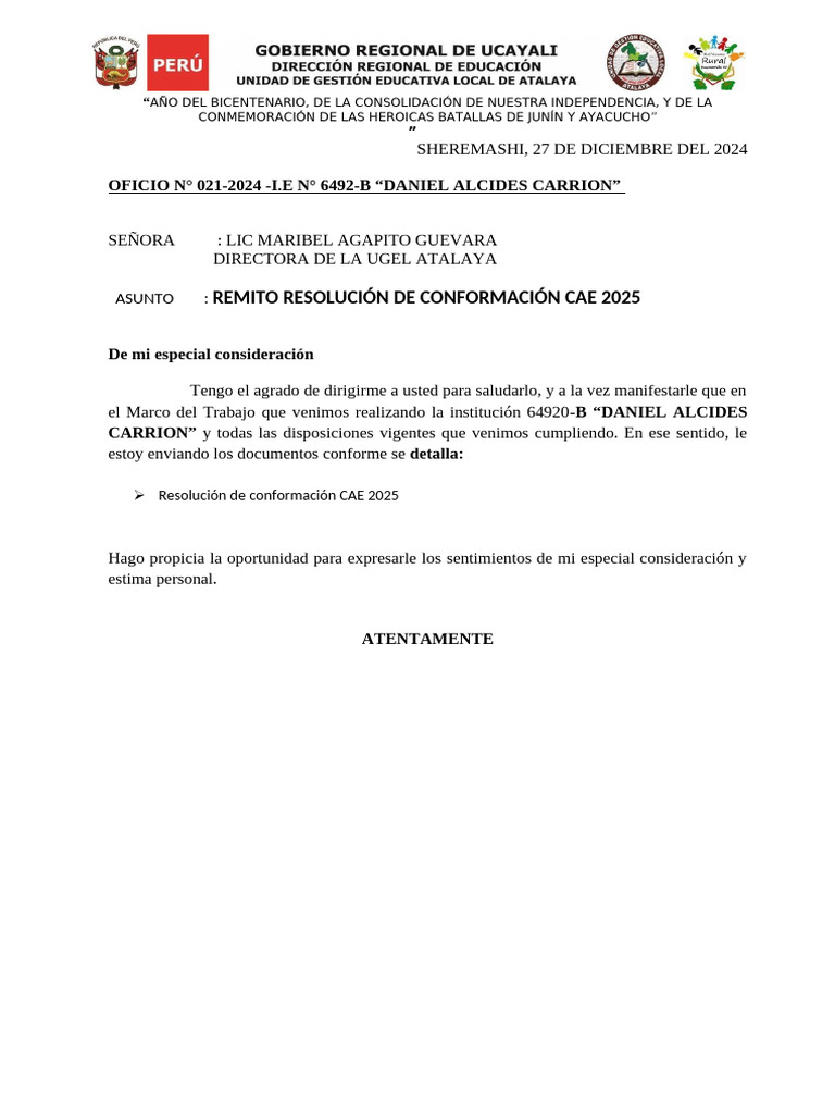 Resolucion y Conformacion de Cae-2025 Secundaria | PDF