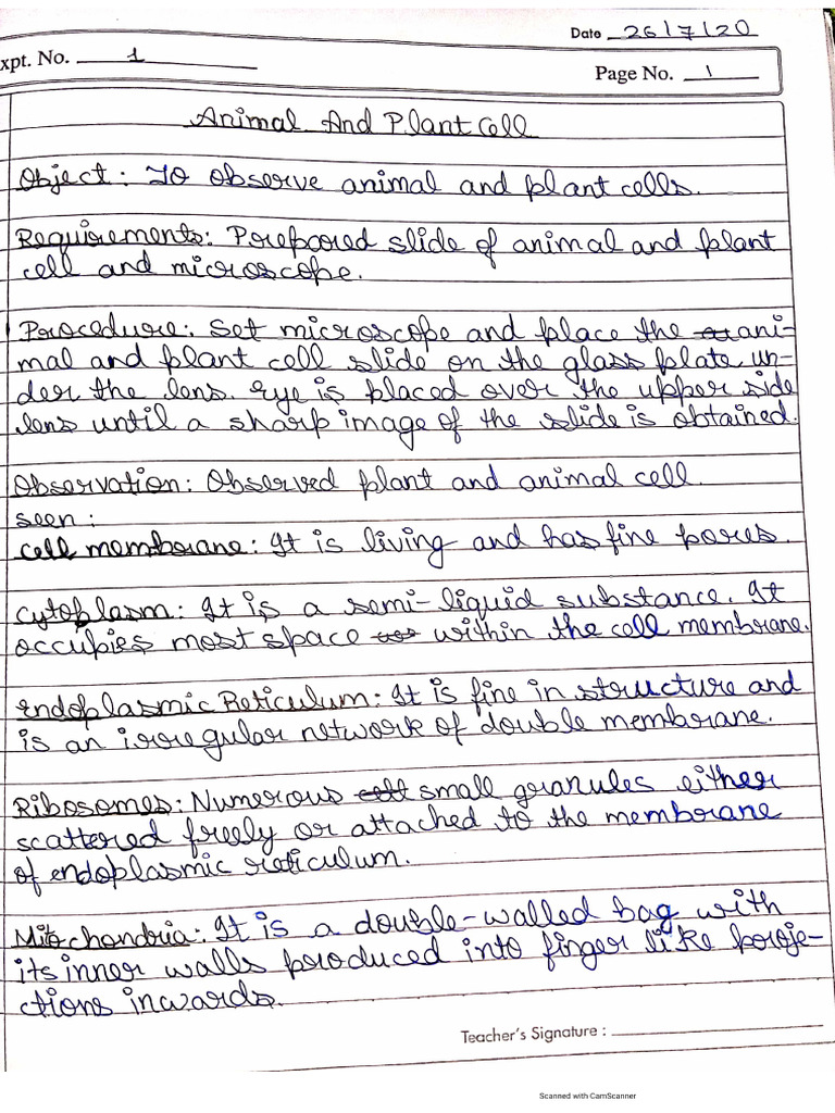 Ninth Bio Practicals Pdf