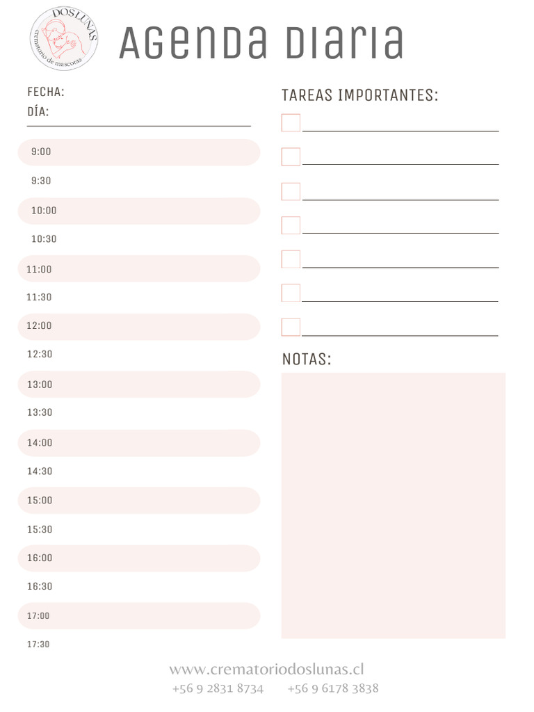 PLANNER DIARIO2 - Merged | PDF