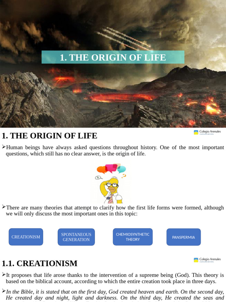 The Origin of Life | PDF | Biology | Nature