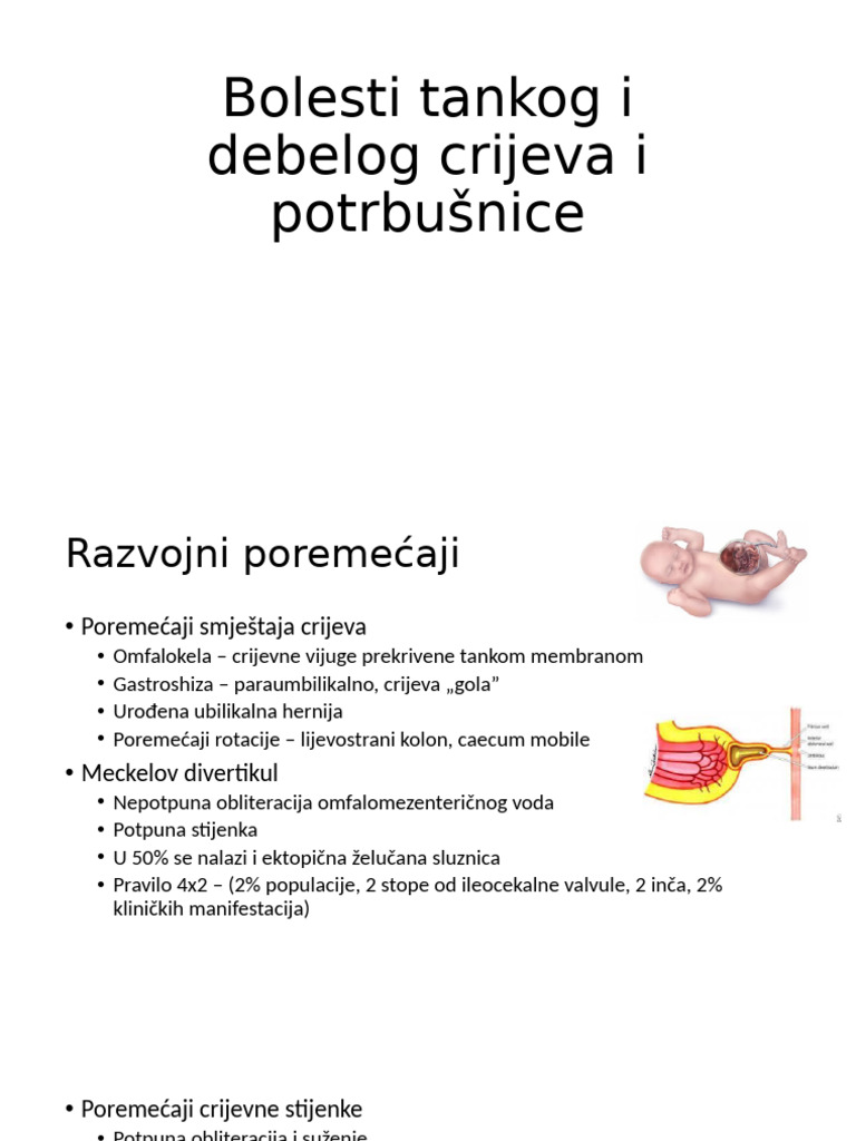 Bolesti Tankog I Debelog Crijeva I Potrbušnice | PDF
